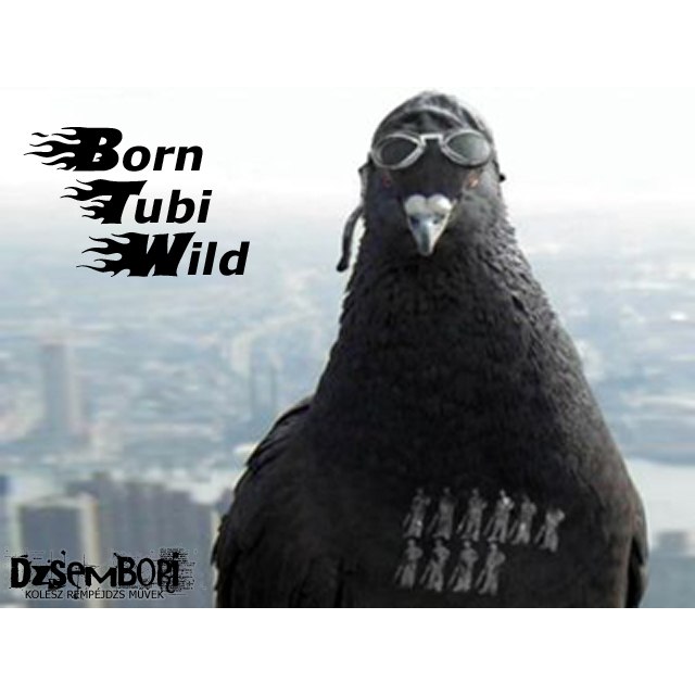 Born Tubi Wild (PC - Steam elektronikus játék licensz) - eMAG.hu Born Tubi Wild (PC - Steam elektronikus játék licensz) - eMAG.hu