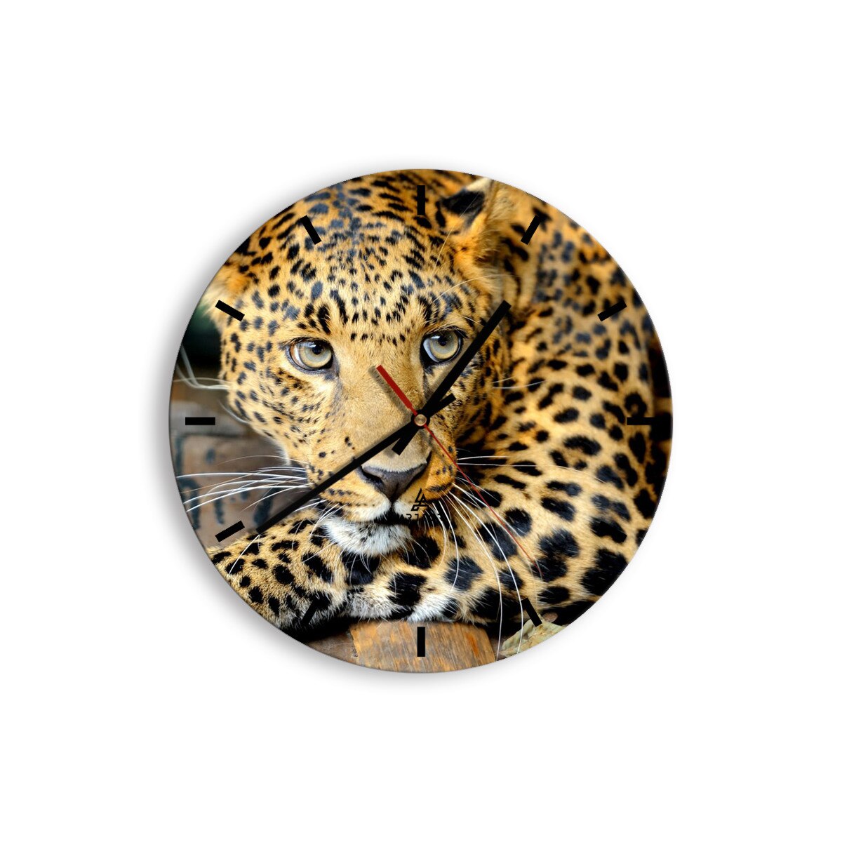 Ceas de perete din sticla 30x30 cm, Pui de Leopard, C3AR30x30-2702 ...