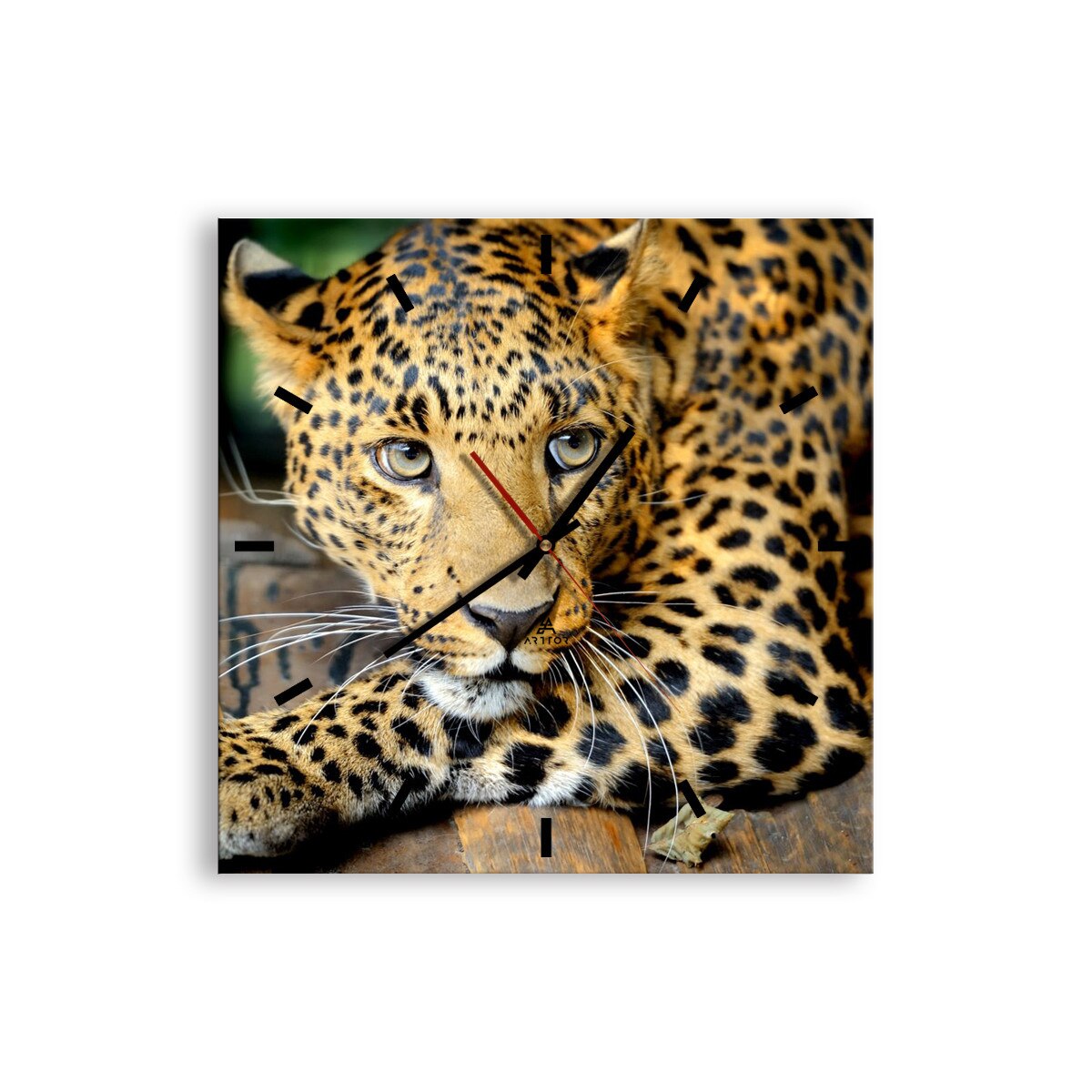 Ceas de perete din sticla 40x40 cm, Pui de Leopard, C3AC40x40-2702 ...