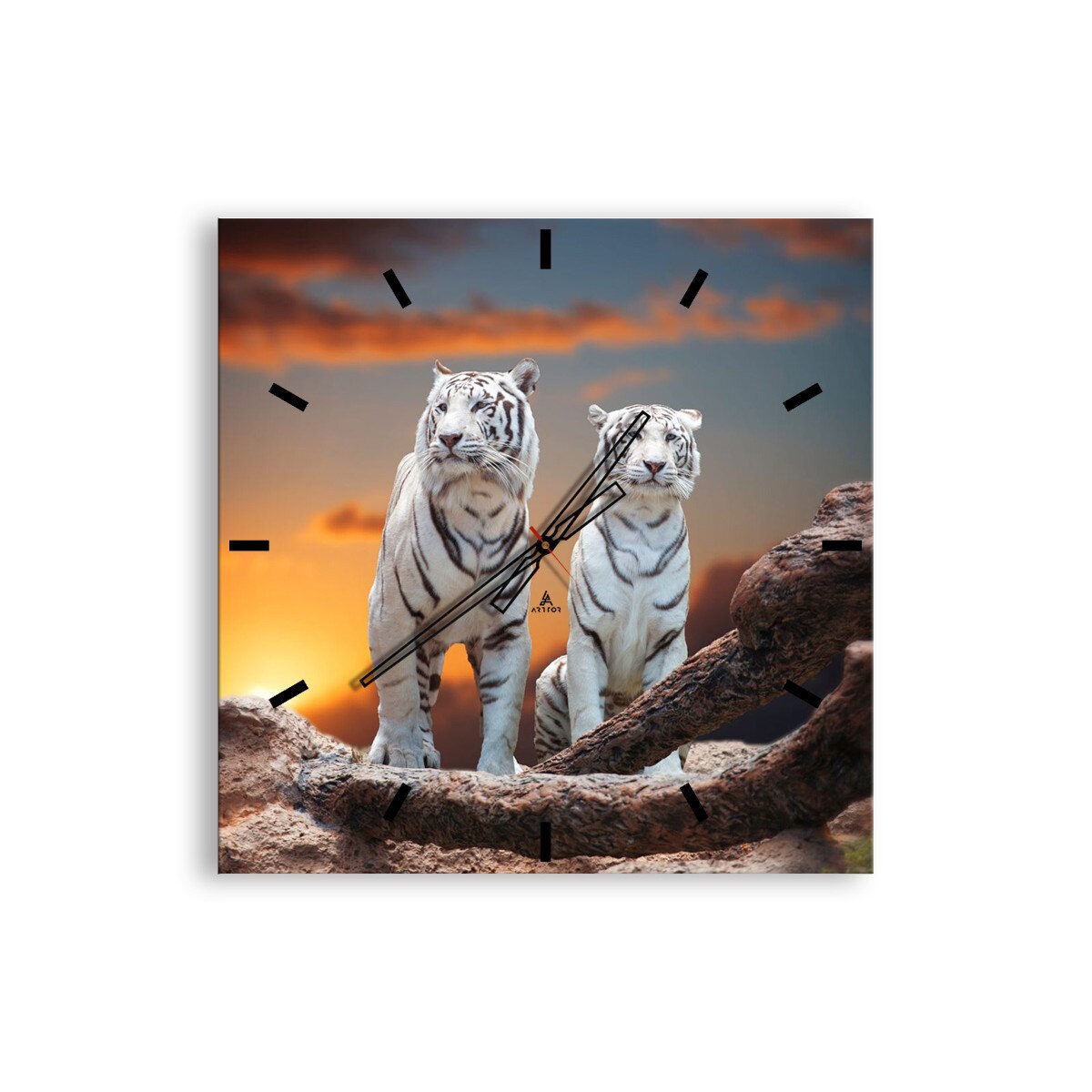 Ceas de perete din sticla 60x60 cm, Tigri Albi, C3AC60x60-2901 - eMAG.ro