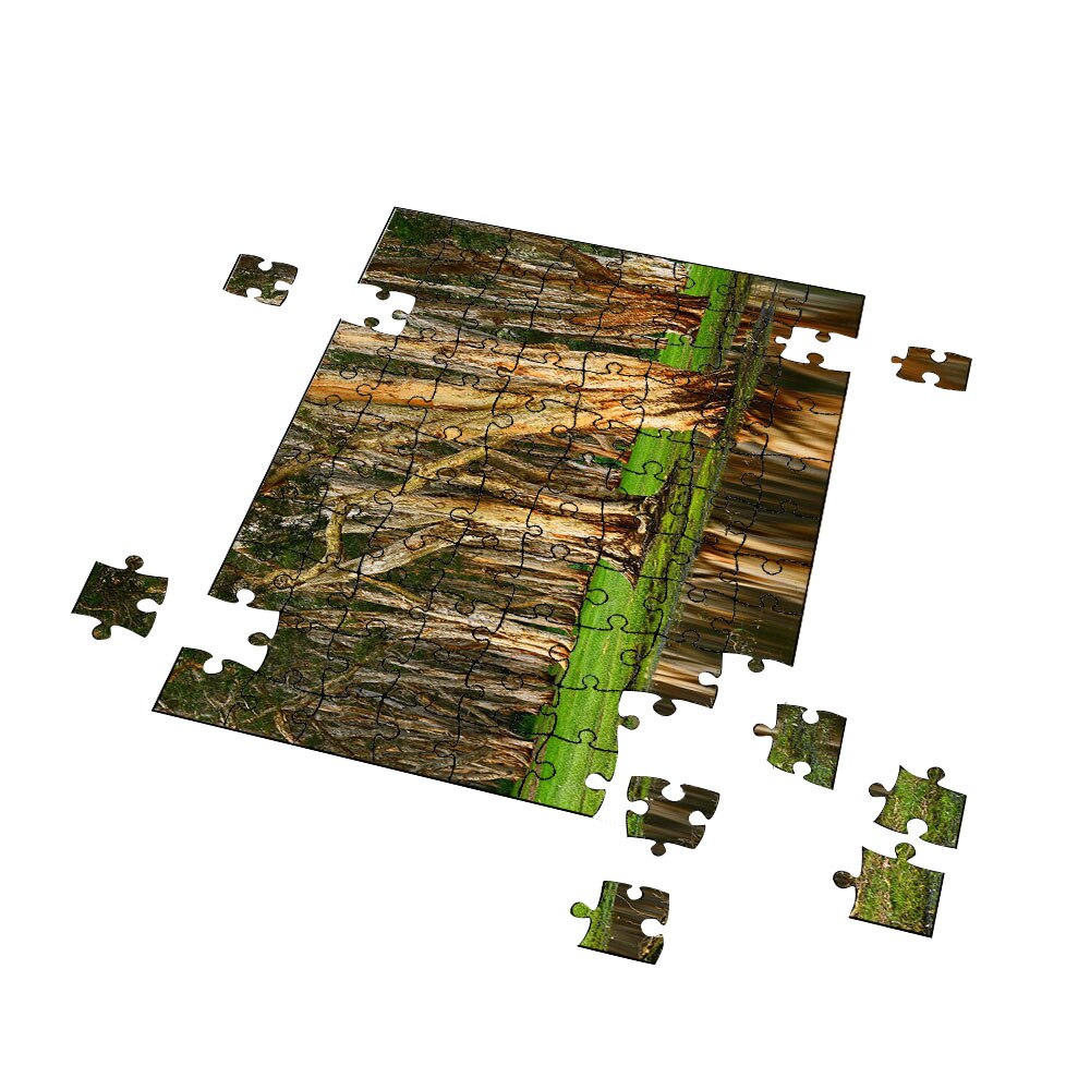 Puzzle 96 piese, Art Star, Copaci batrani, Peisaje, Latime 40,5 cm x ...
