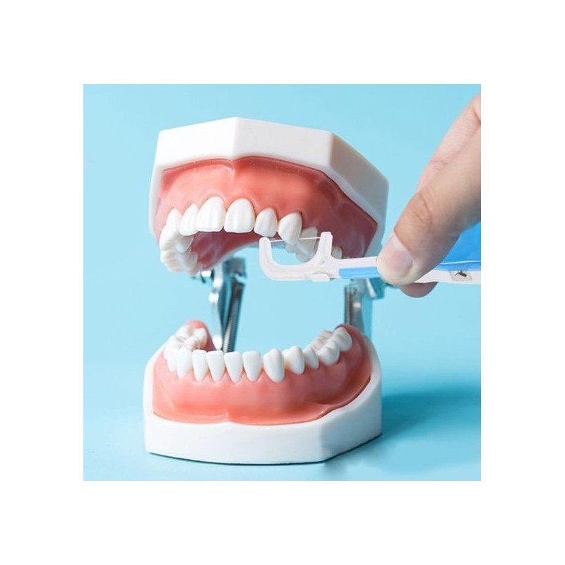 Suport Ata Dentara, cu Dispenser, lungime 30m, Rola Inlocuibila - eMAG.ro