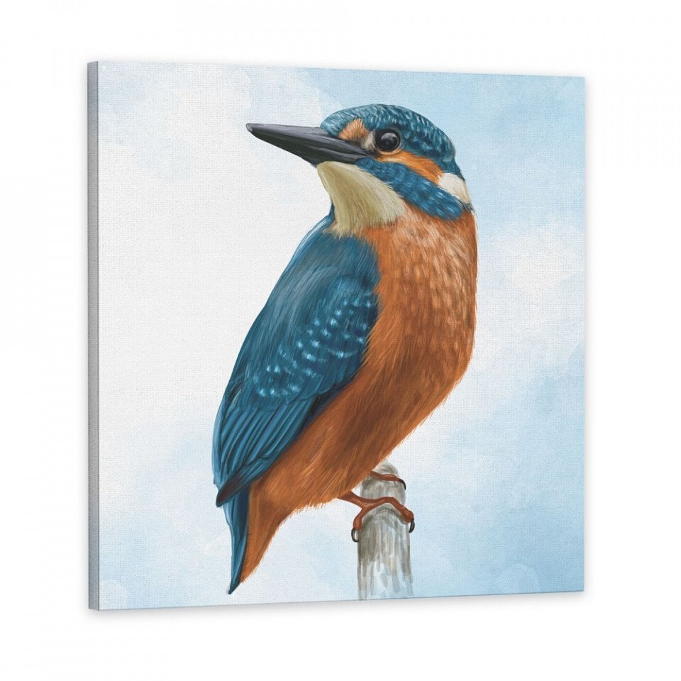 Set 3 Tablouri canvas, Pasari colorate, Stickermania, rama 40x40 cm ...