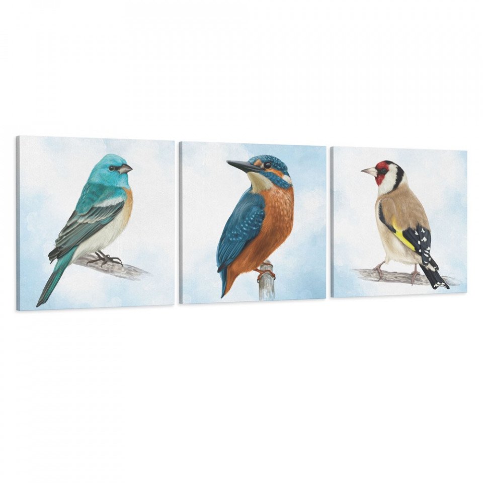 Set 3 Tablouri canvas, Pasari colorate, Stickermania, rama 40x40 cm ...