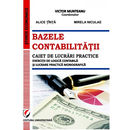 Bazele contabilitatii. Caiet de lucrari practice. Exercitii de logica ...