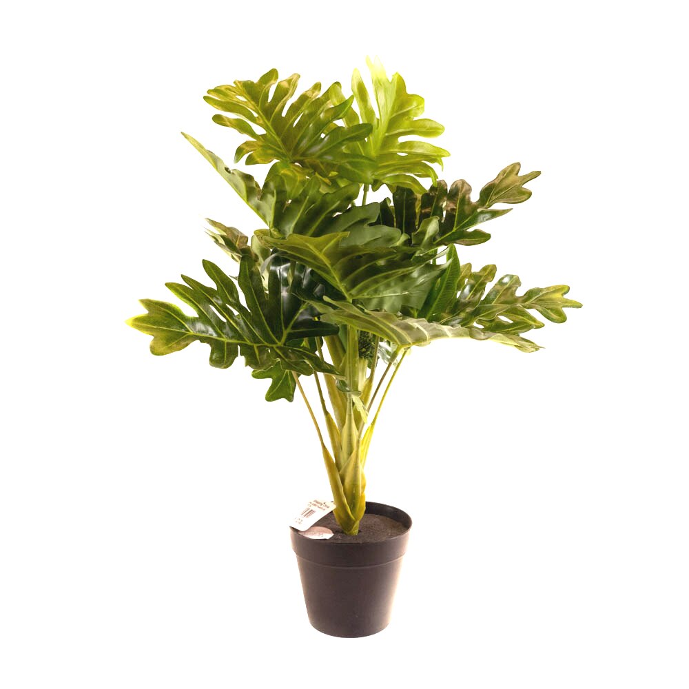 Planta artificiala in ghiveci, Guembe, inaltime 60 cm - eMAG.ro