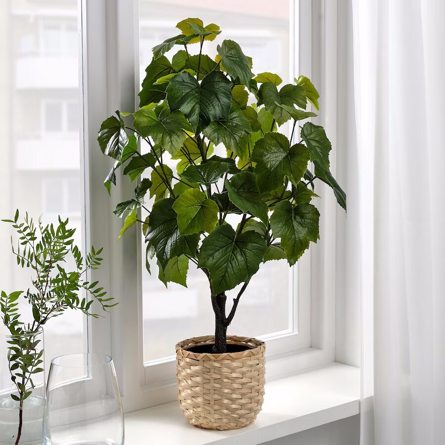 Planta artificiala in ghiveci negru, interior/exterior, vita de vie ...