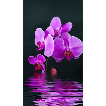 Cauți panou radiant infrarosu? Alege din oferta eMAG.ro