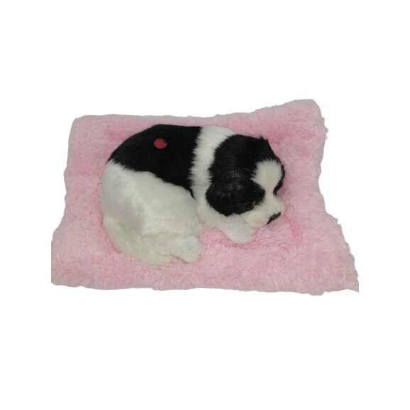 Catel interactiv, Border Collie somnoros care doarme pe un patut roz ...
