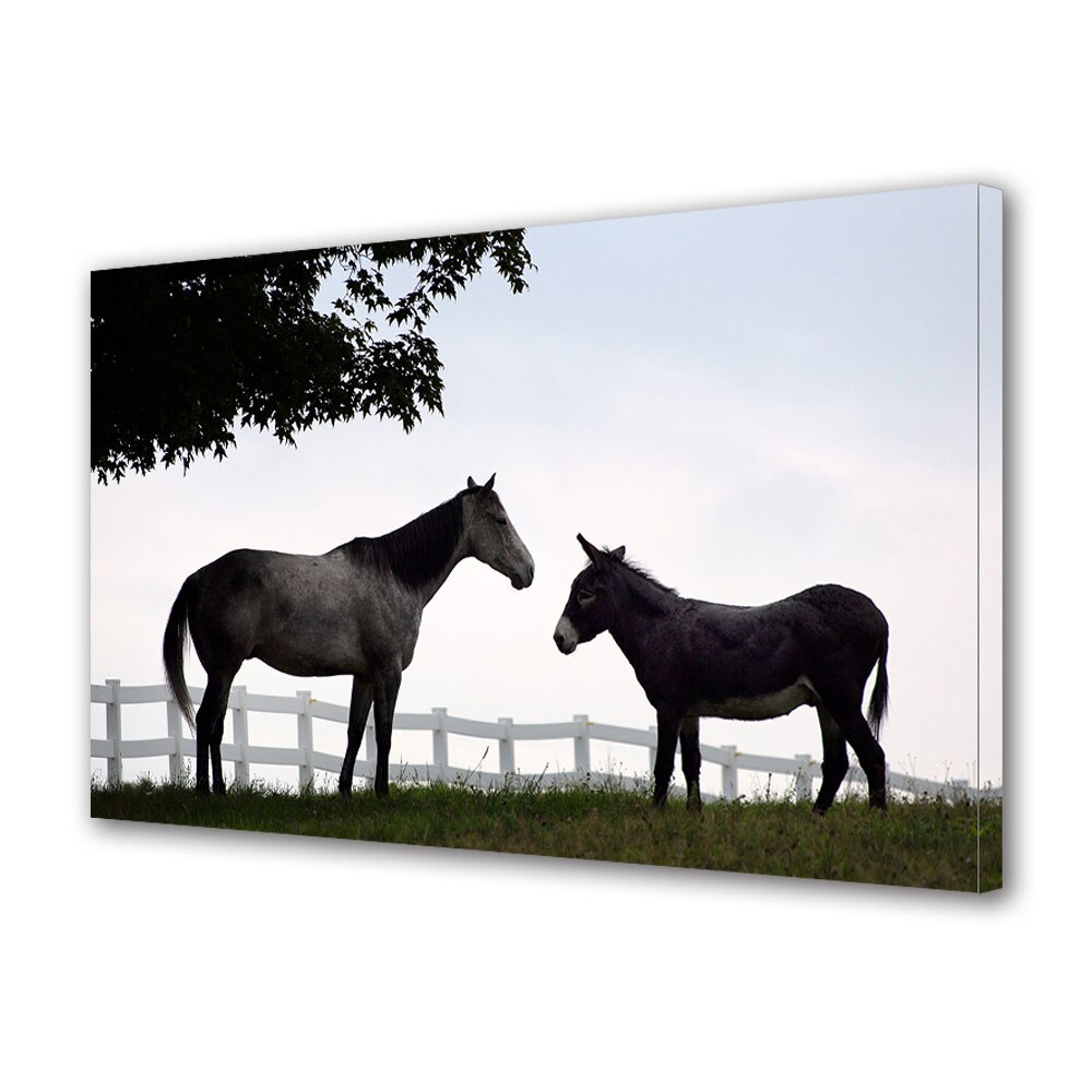 Prémium vászonfestmény, Art Star, Lovak a Ködös réten, Állatok, Vászon ...