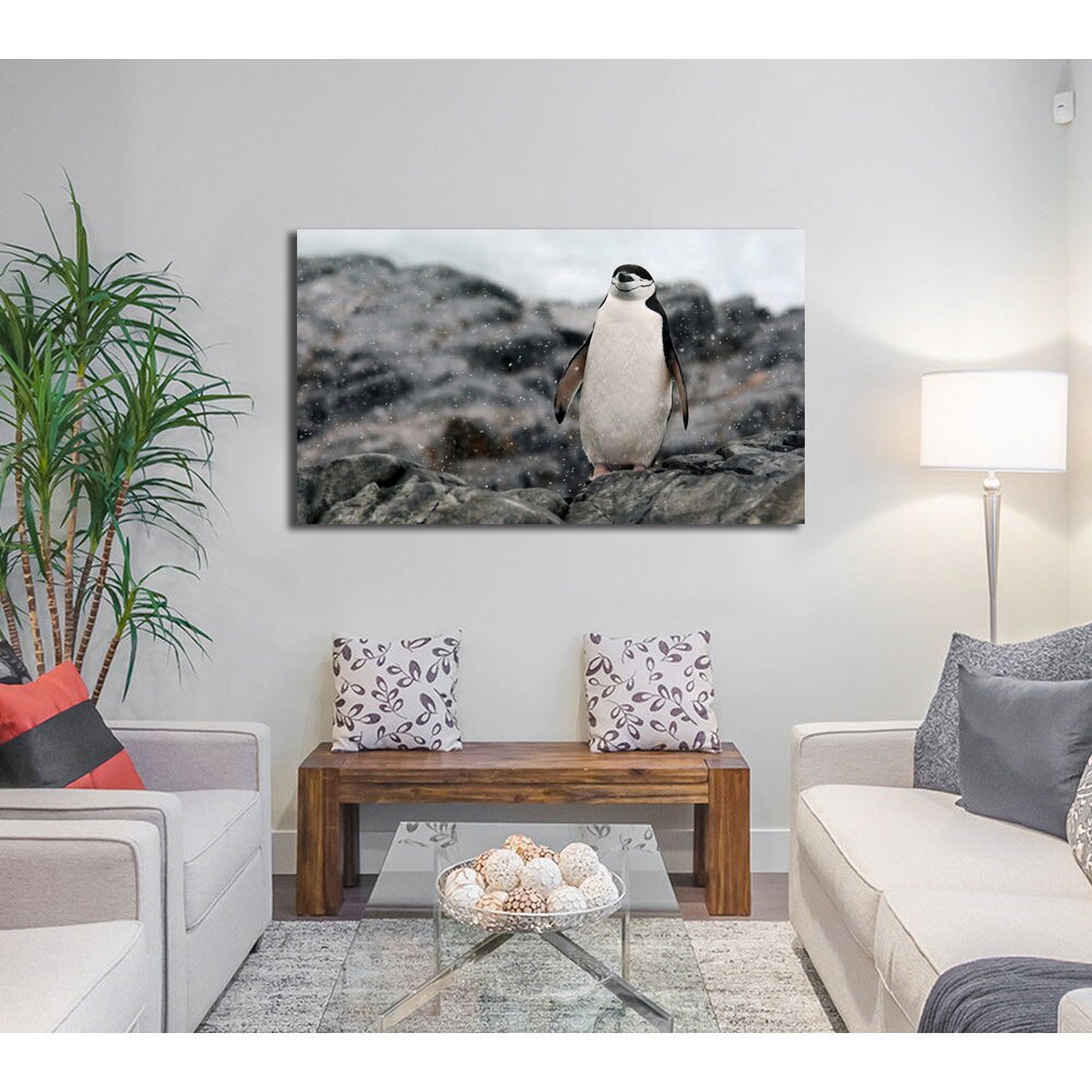 Prémium vászonfestmény, Art Star, A pingvin élvezi a havat, Állatok ...