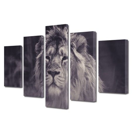 Set Tablouri Multicanvas 5 piese, Art Star, Leu-imagine cu efect ...