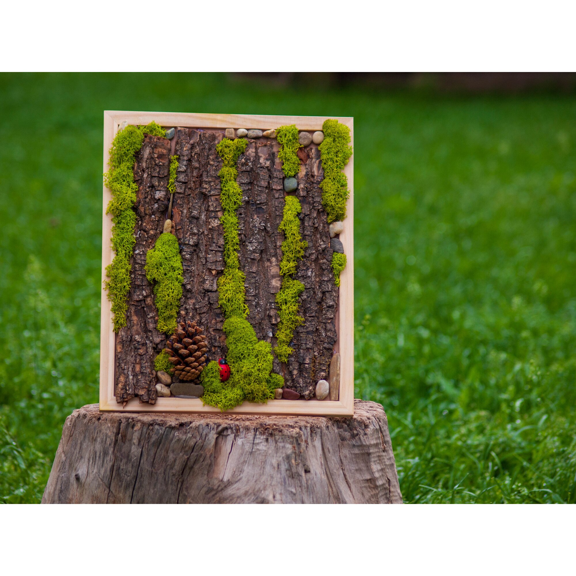 Tablou cu licheni stabilizati si scoarta de copac, 3D, 24 x 30 cm - eMAG.ro