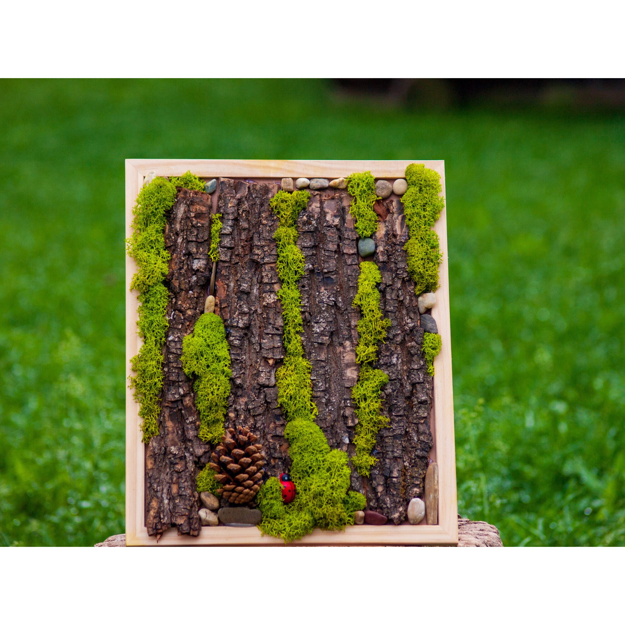 Tablou cu licheni stabilizati si scoarta de copac, 3D, 24 x 30 cm - eMAG.ro