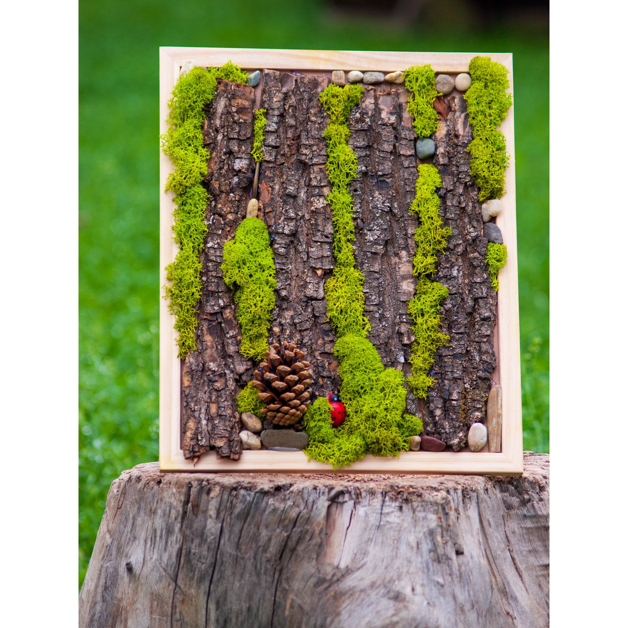 Tablou cu licheni stabilizati si scoarta de copac, 3D, 24 x 30 cm - eMAG.ro