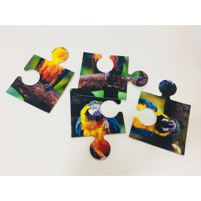 Puzzle Papagal, AHA, 4 piese, 210 x 210 mm - eMAG.ro