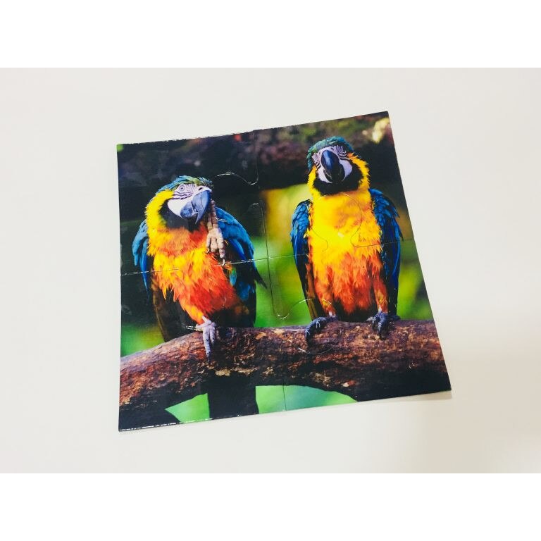 Puzzle Papagal, AHA, 4 piese, 210 x 210 mm - eMAG.ro