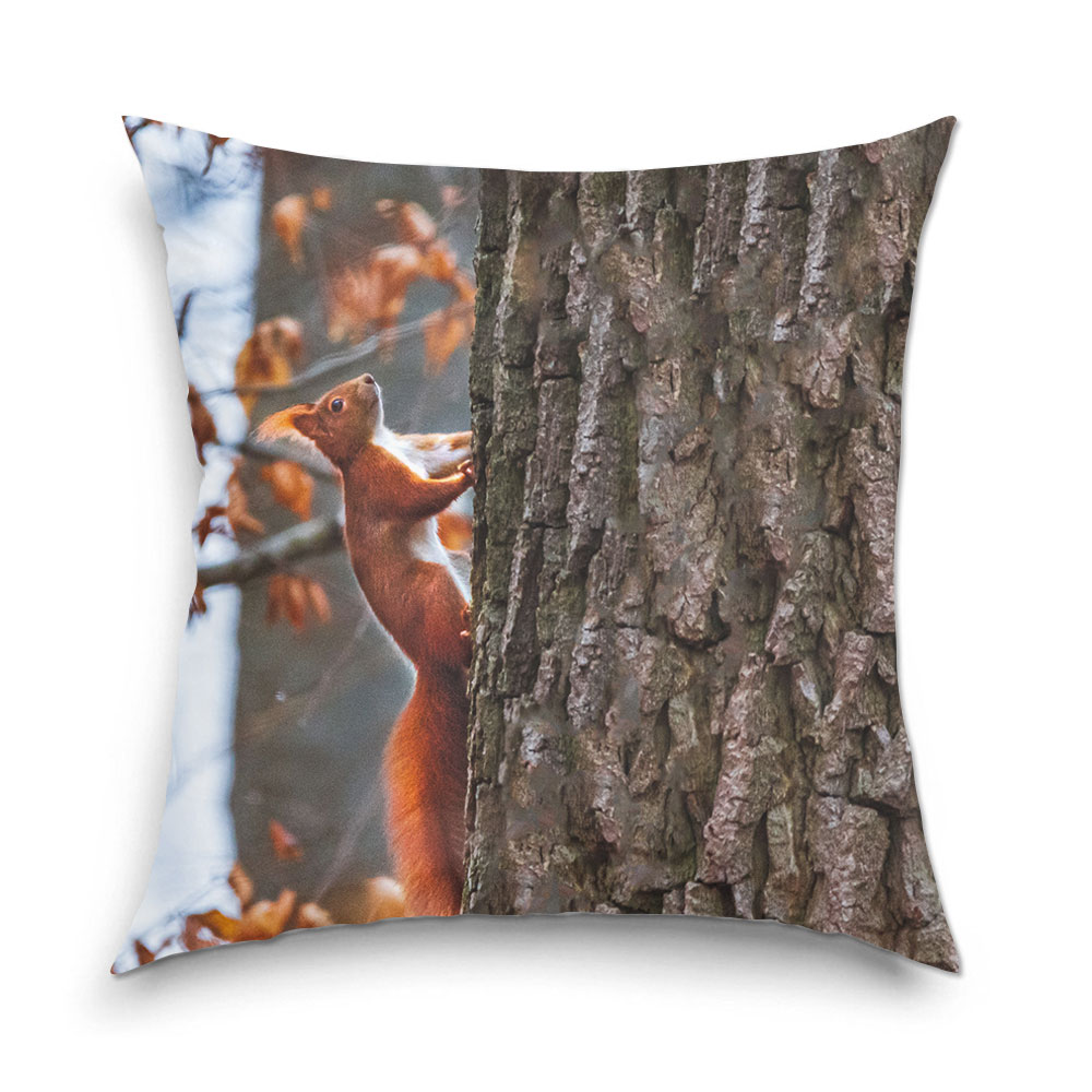 Dekoratív párna Art Star, Fára mászó mókus, Állatok, Modern ...