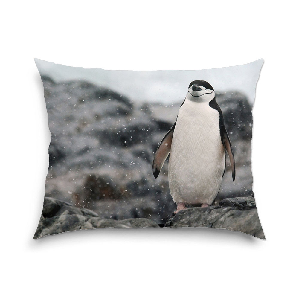 Art Star díszpárna, Pingvin élvezi a havat, Állatok, Modern ...