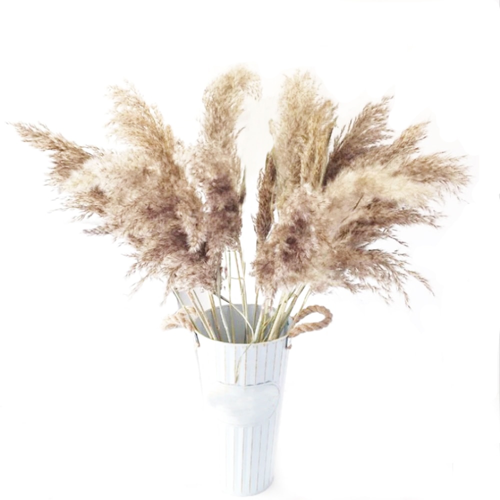 Floare uscata Pampas, Gri, 165 cm - eMAG.ro