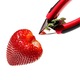 Cleste pentru capsuni, inox, "Good Grips" - OXO - eMAG.ro