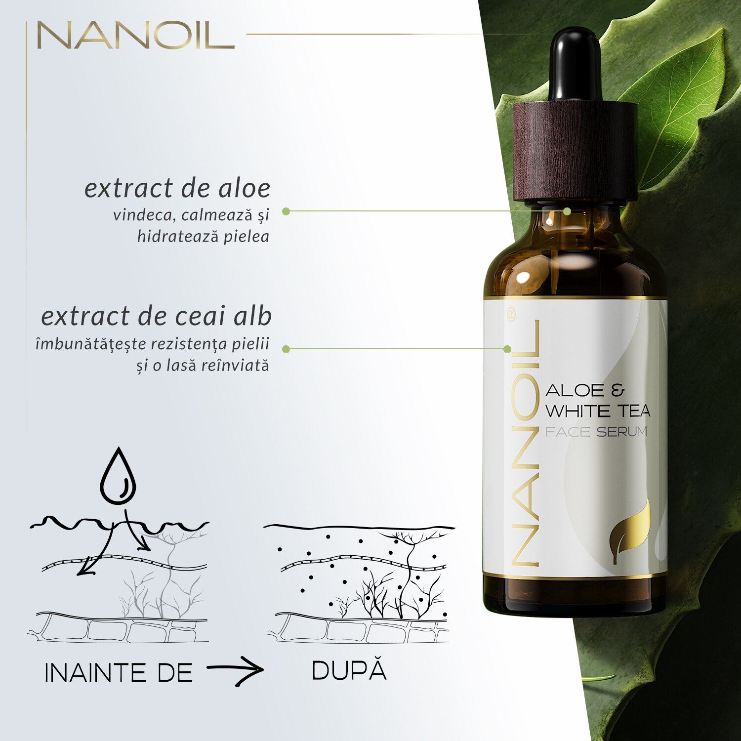 Ser facial cu aloe si ceai alb, Nanoil, nutritiv, revitalizant, de ...