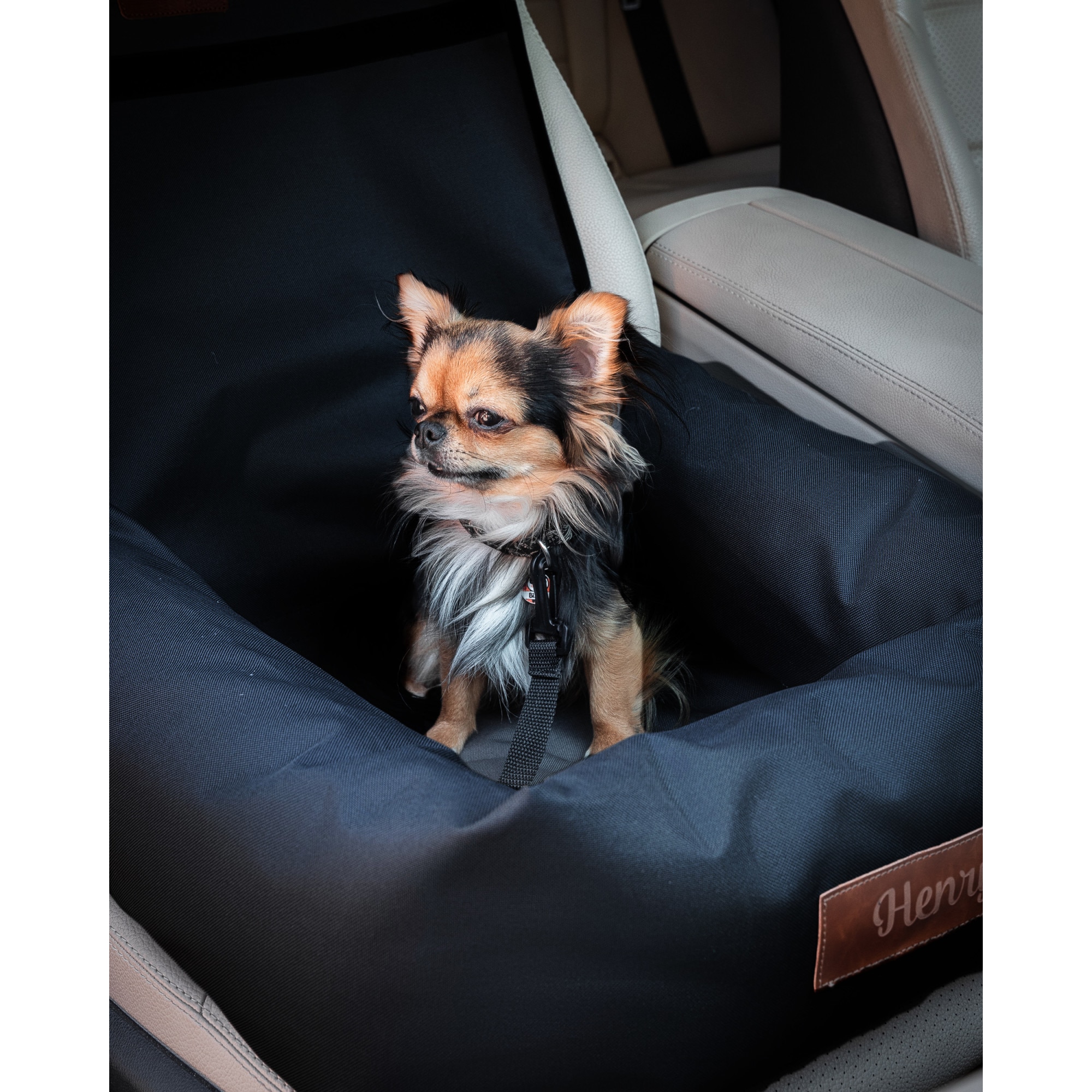 Protectie scaun auto, cos pentru transportul caini, pisici sau altor ...