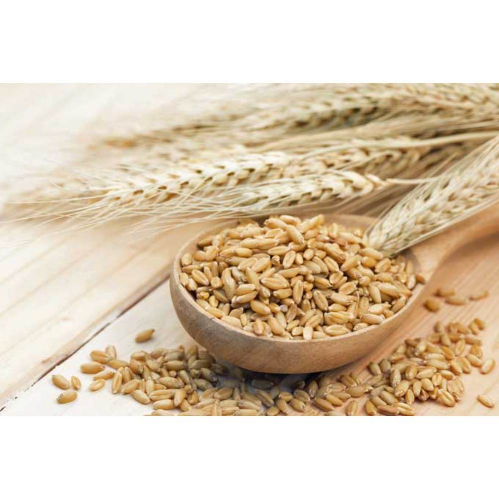 Arpacas Sano Vita, 1 kg - eMAG.ro