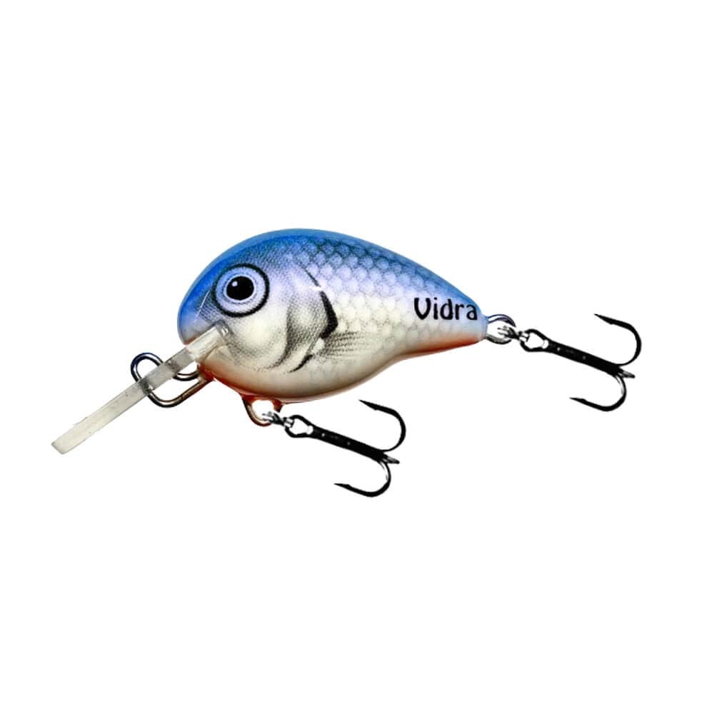 Vobler clean Wobbler Vidra Atomic Chub 3.5cm, 6gr, Sinking, BL (Blue ...