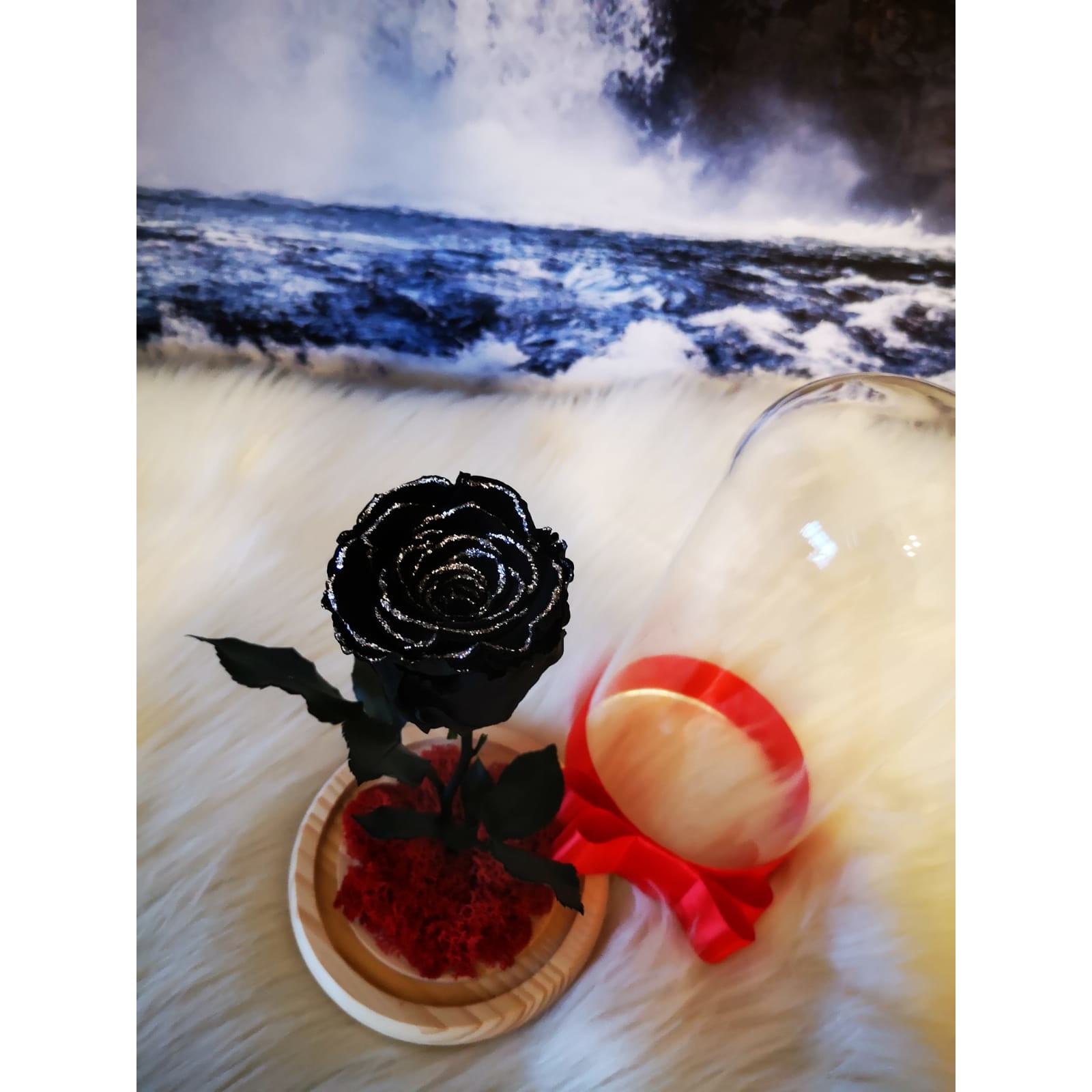 Trandafir criogenat negru, Moni Flowers, 10x20 cm - eMAG.ro