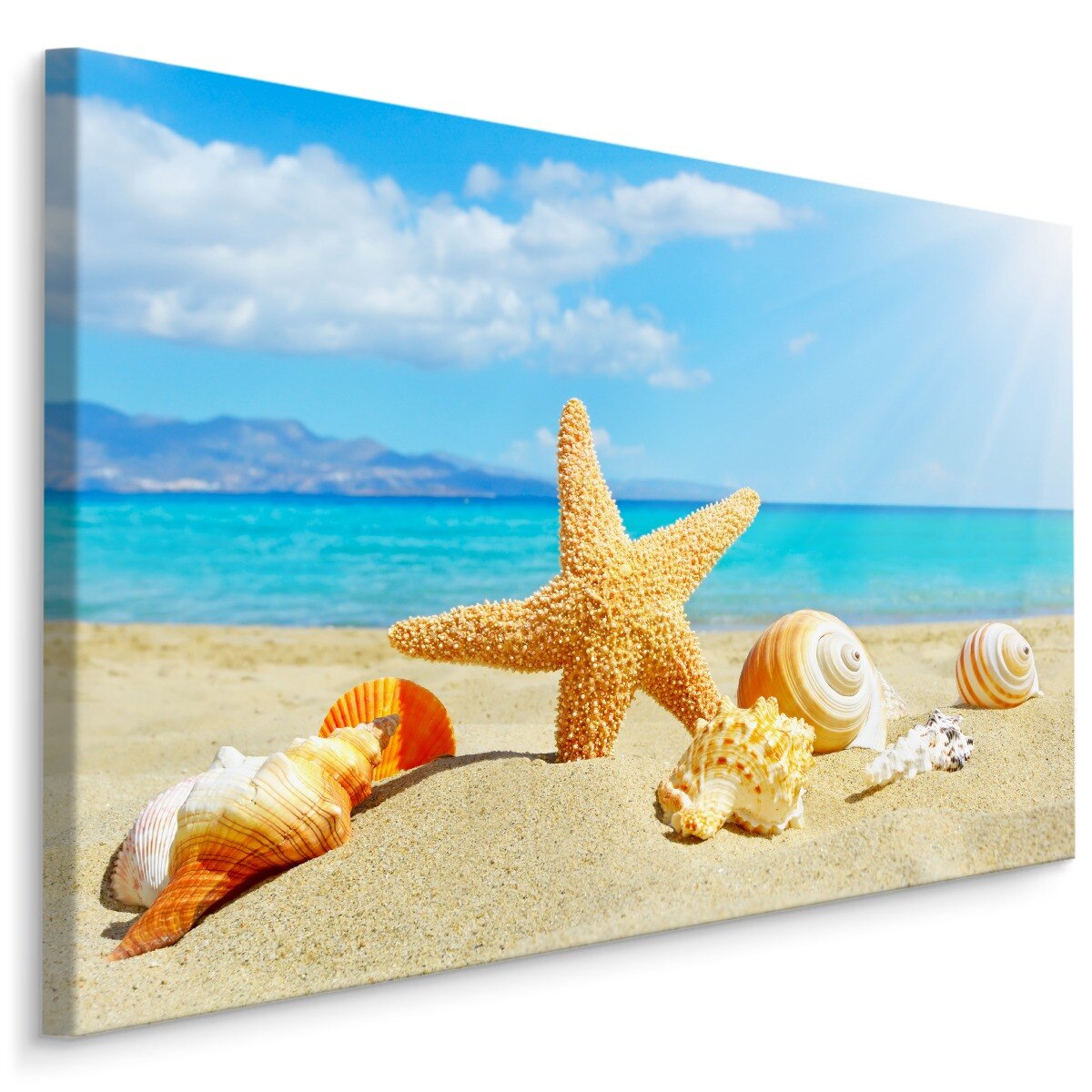 Tablou pentru living mare plaja scoici stele 70cm x 50cm Canvas ...