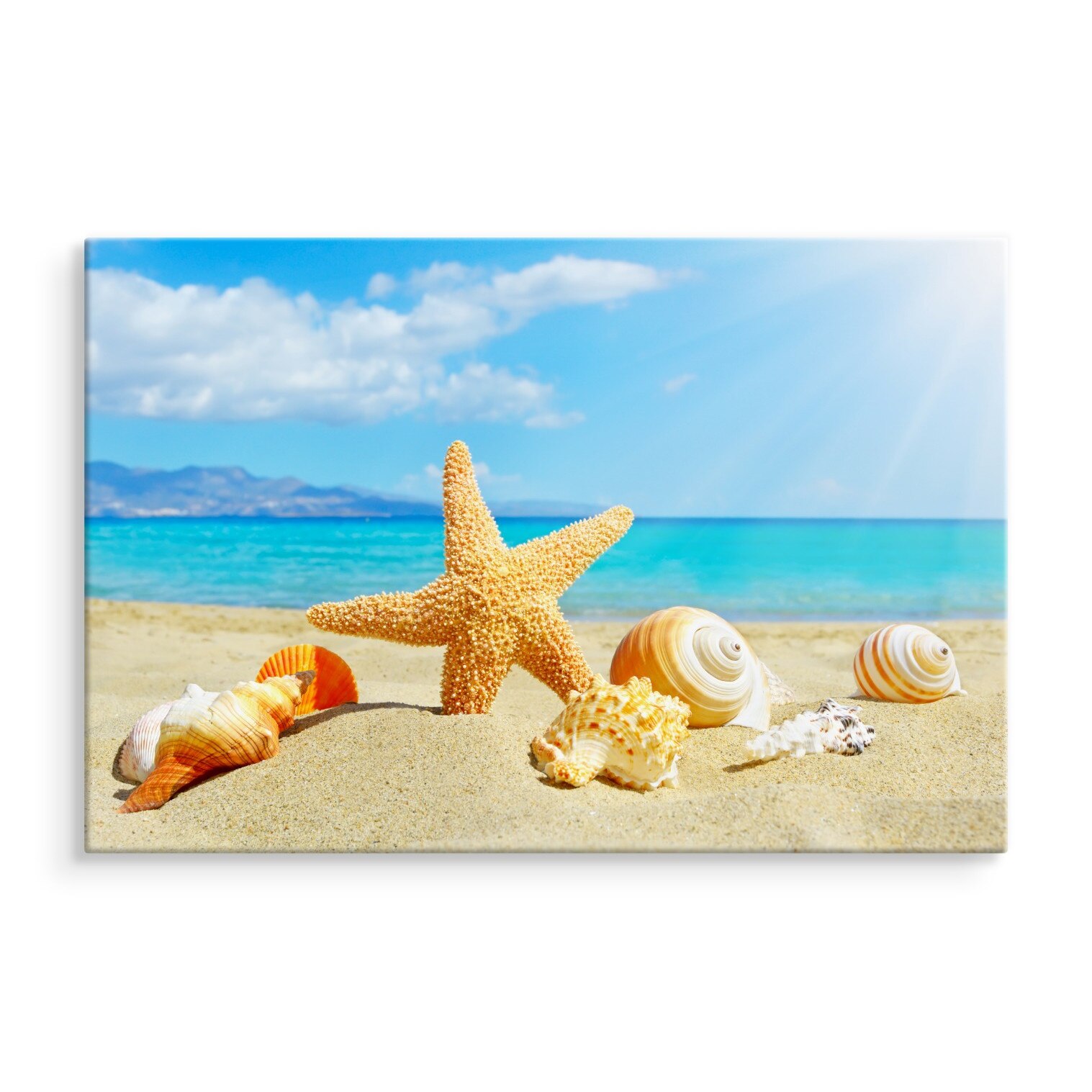 Tablou pentru living mare plaja scoici stele 70cm x 50cm Canvas ...