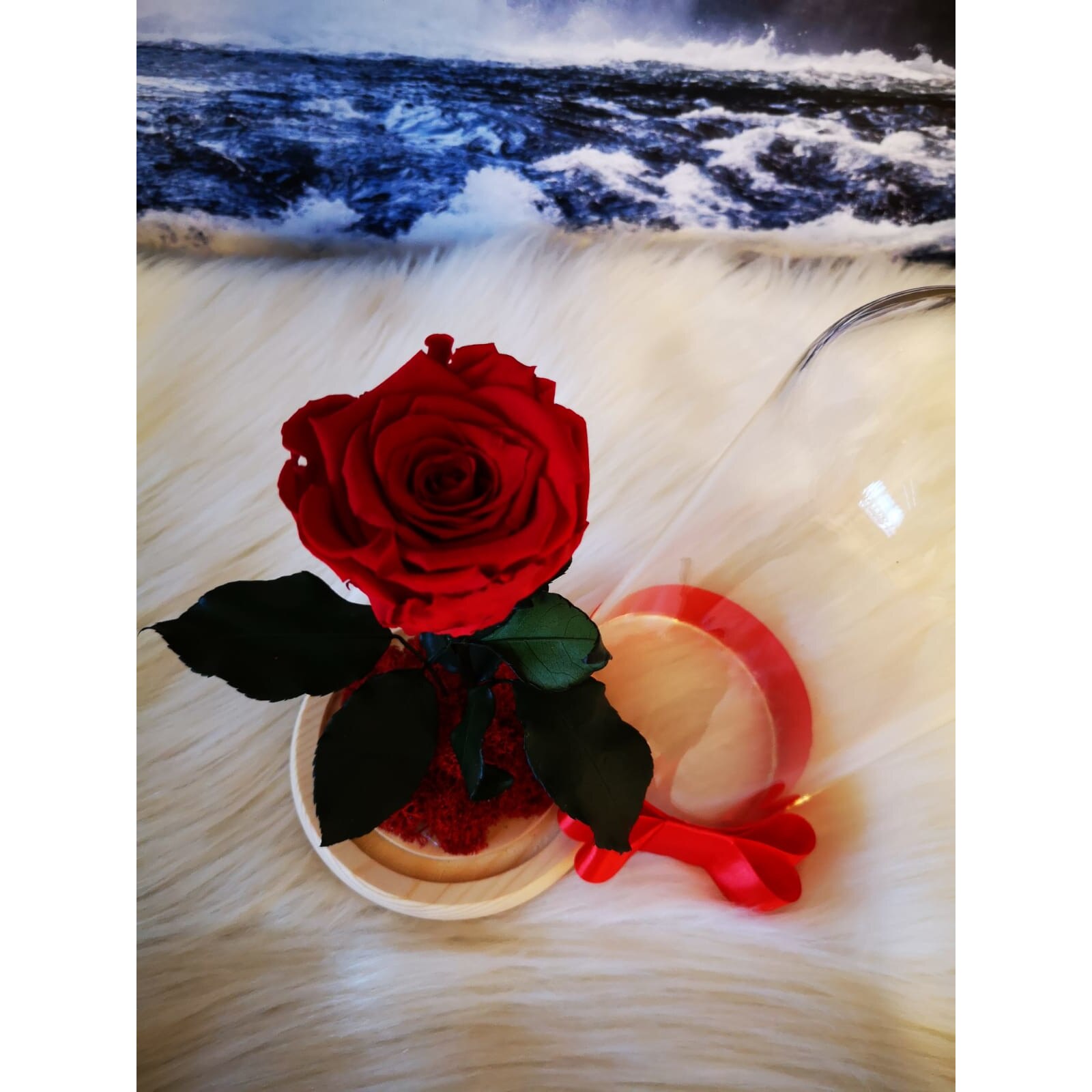 Trandafir criogenat rosu, Moni Flowers, 10x20 cm - eMAG.ro