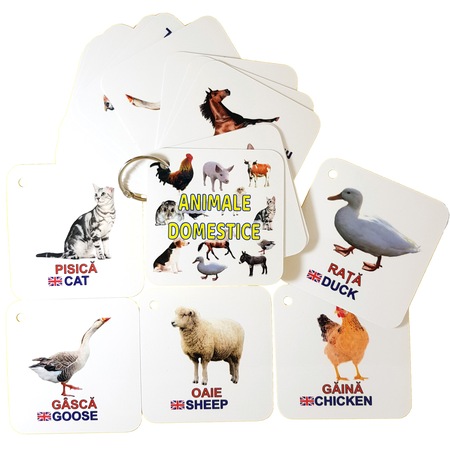 Set de 18 cartonase pe inel - Animale domestice - eMAG.ro