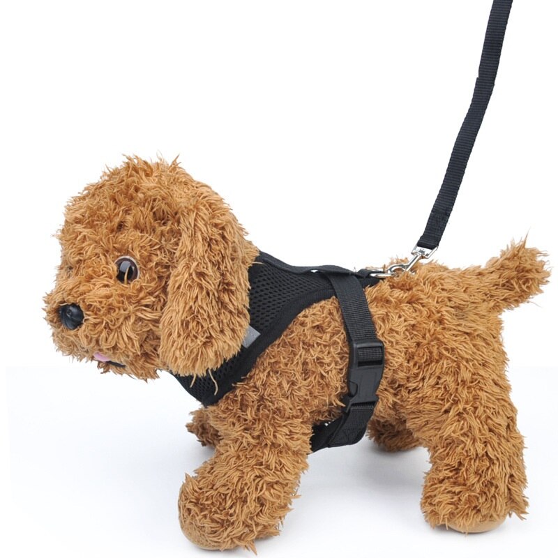 Set Ham si lesa pentru o pisica si un catelus, marime L, Negru - eMAG.ro