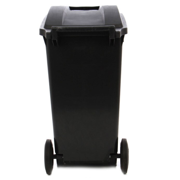 Pubela pentru Gunoi KlaussTech, Capacitate 120L, 2 Roti, Maner de ...