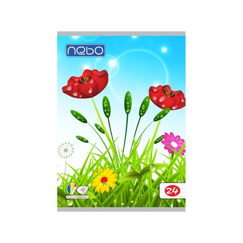 Set 20 Caiete A5 Tip II, 24 de file, Nebo - eMAG.ro