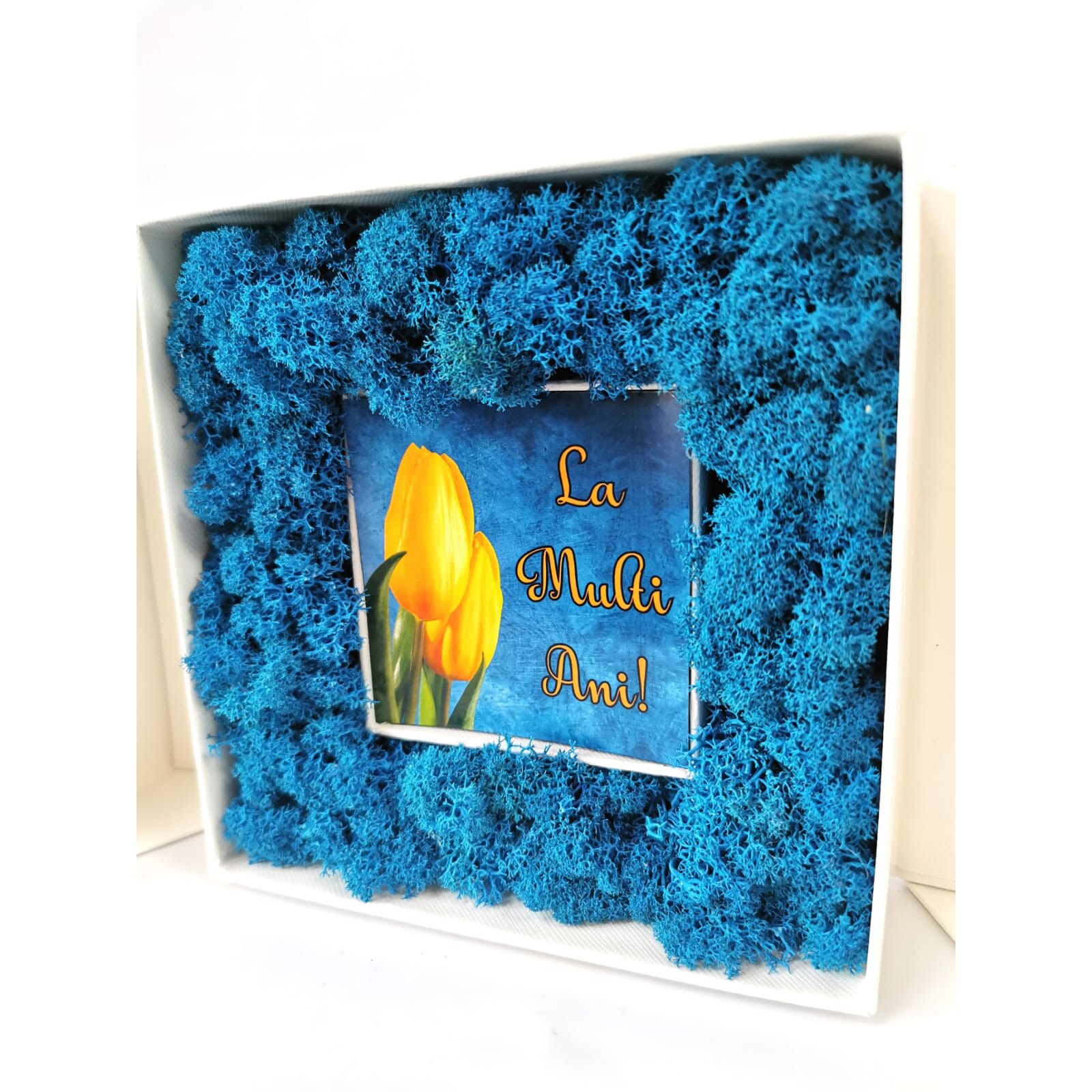 Aranjament cu licheni stabilizati albastru in cutie alba cu poza ...