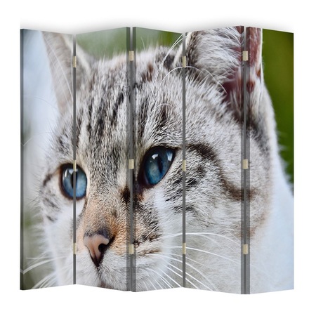 Paravan de camera, Legendarte, Cat Eyes, 180x180 cm - eMAG.ro