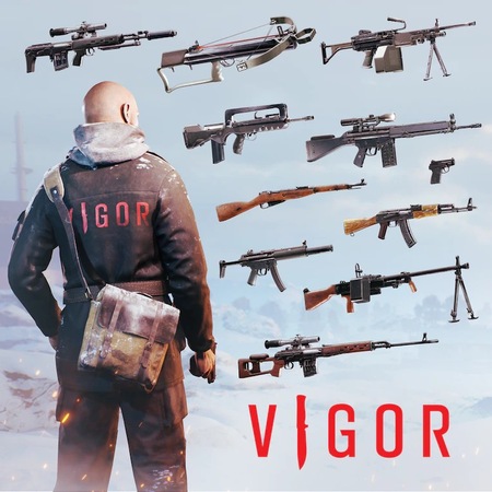 Vigor - Armed Outlander Bundle (DLC) (Digitális kulcs - Xbox) - eMAG.hu