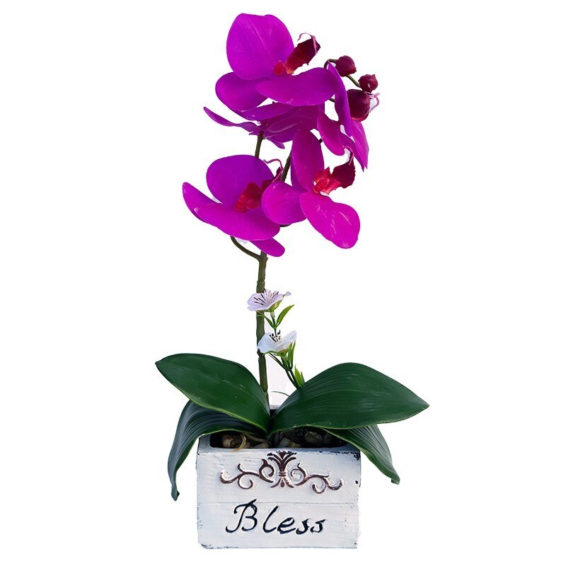 Ghiveci din ceramica cu orhidee mov, 12x35cm - eMAG.ro