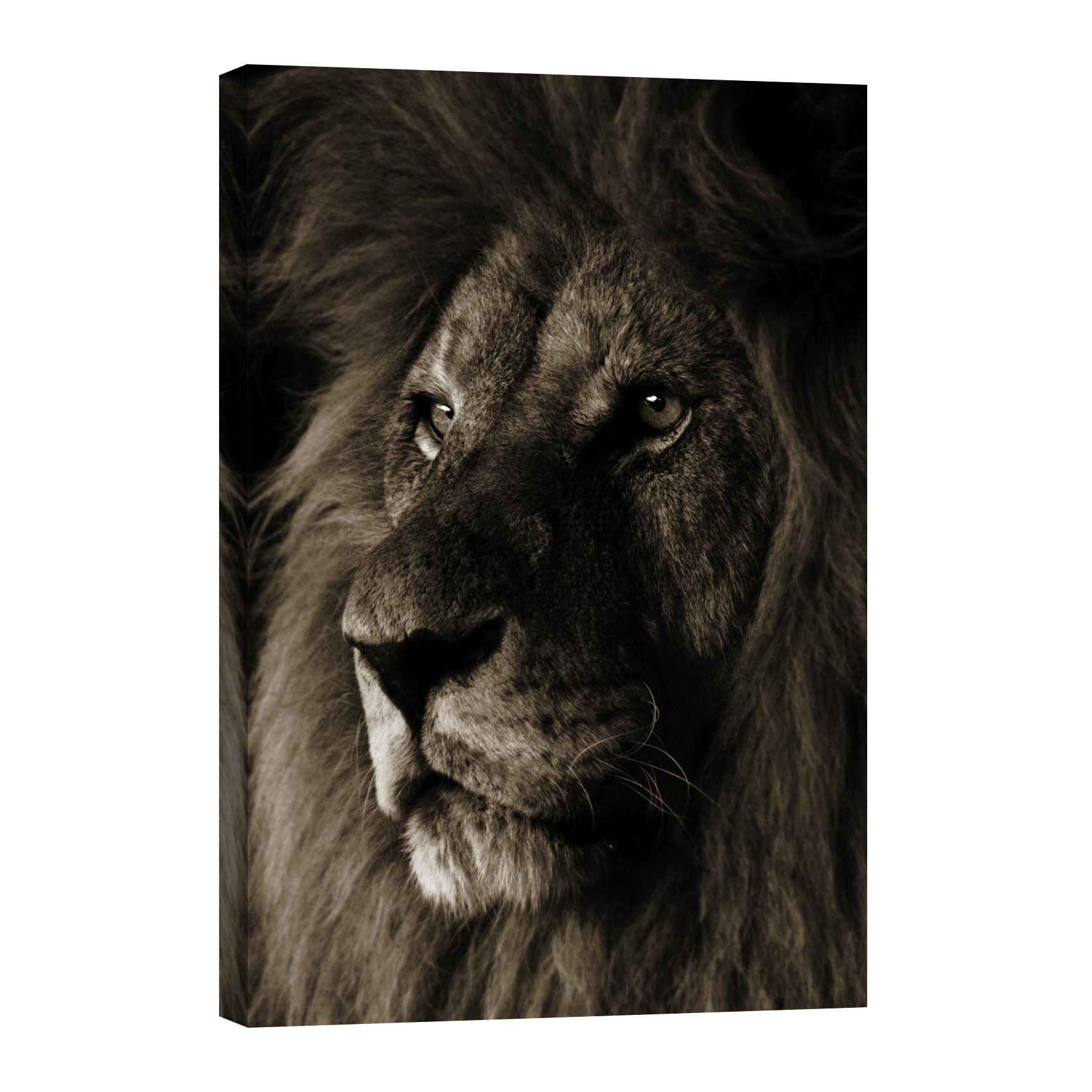 Tablou luminos in intuneric, GlowforHome, Leu, 60 cm x 40 cm - eMAG.ro