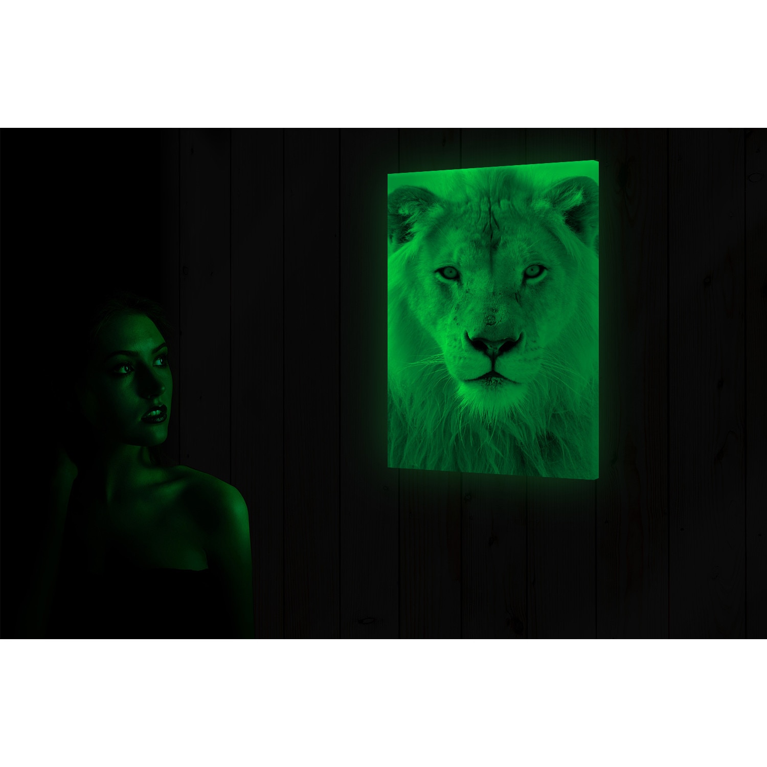 Tablou luminos in intuneric, GlowforHome, leu alb, 60 cm x 40 cm - eMAG.ro