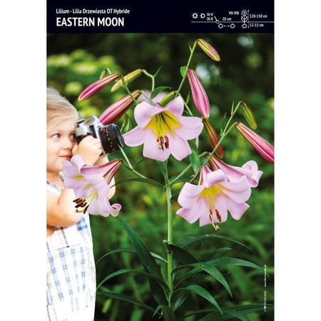 Bulb crin, 1 bucata - eMAG.ro