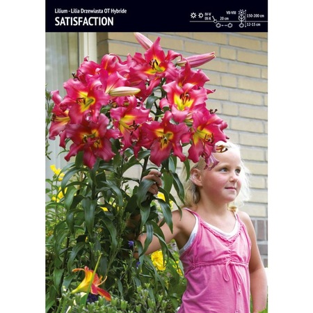 Bulb crin, 1 bucata - eMAG.ro