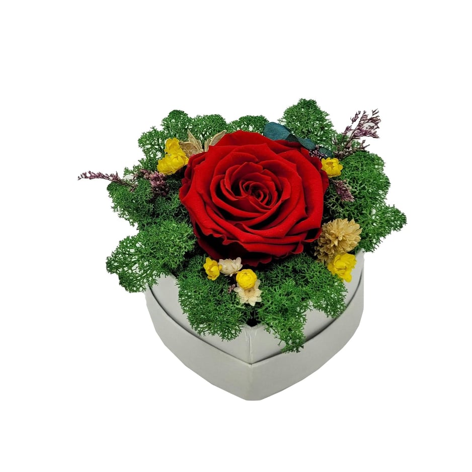 Aranjament inima mica cu licheni si trandafir criogenat rosu,11 cm ...