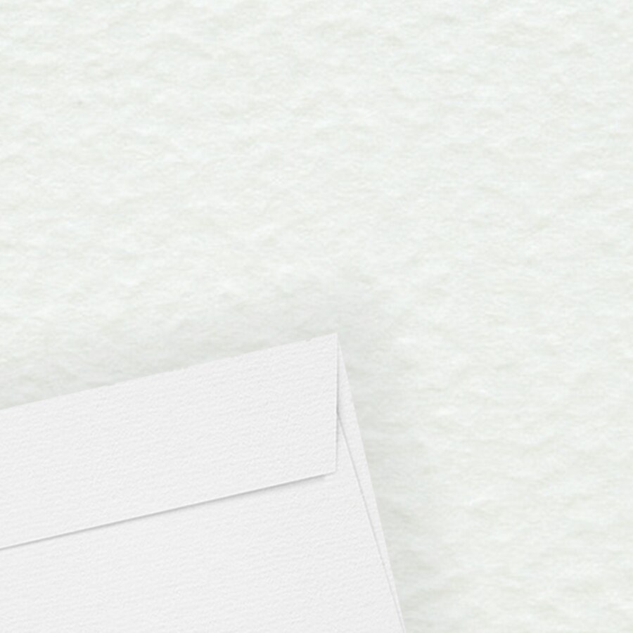 Felicitare cu plic, hartie texturata premium - motan cu fluture - eMAG.ro