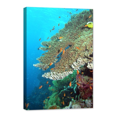 Tablou luminos in intuneric, GlowforHome, Viata marina subacvatica in ...