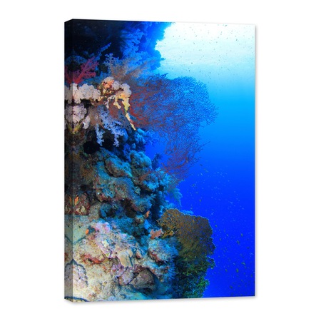 Tablou luminos in intuneric, GlowforHome, Recif de corali Elphinstone ...