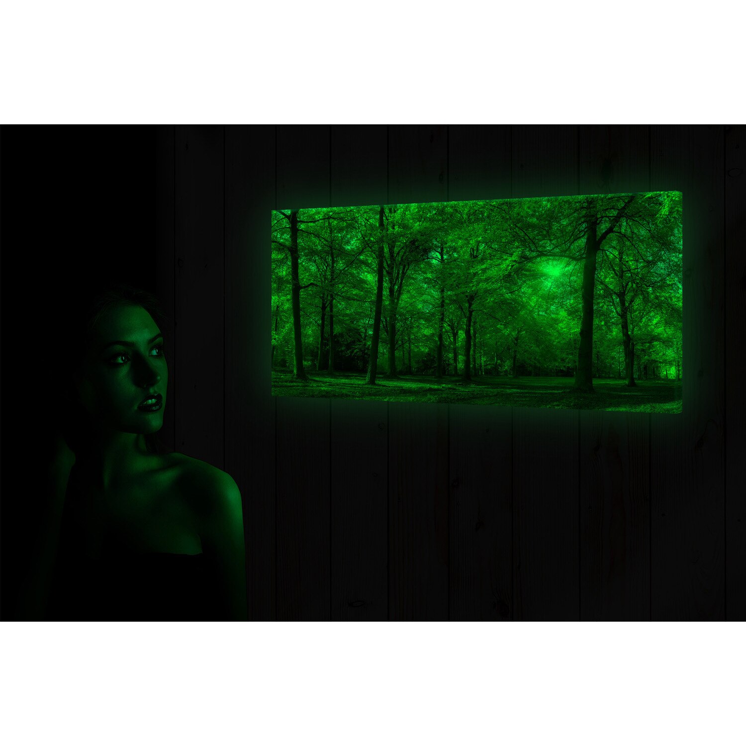 Tablou canvas luminescent, luminos in intuneric, GlowforHome, Dualv ...